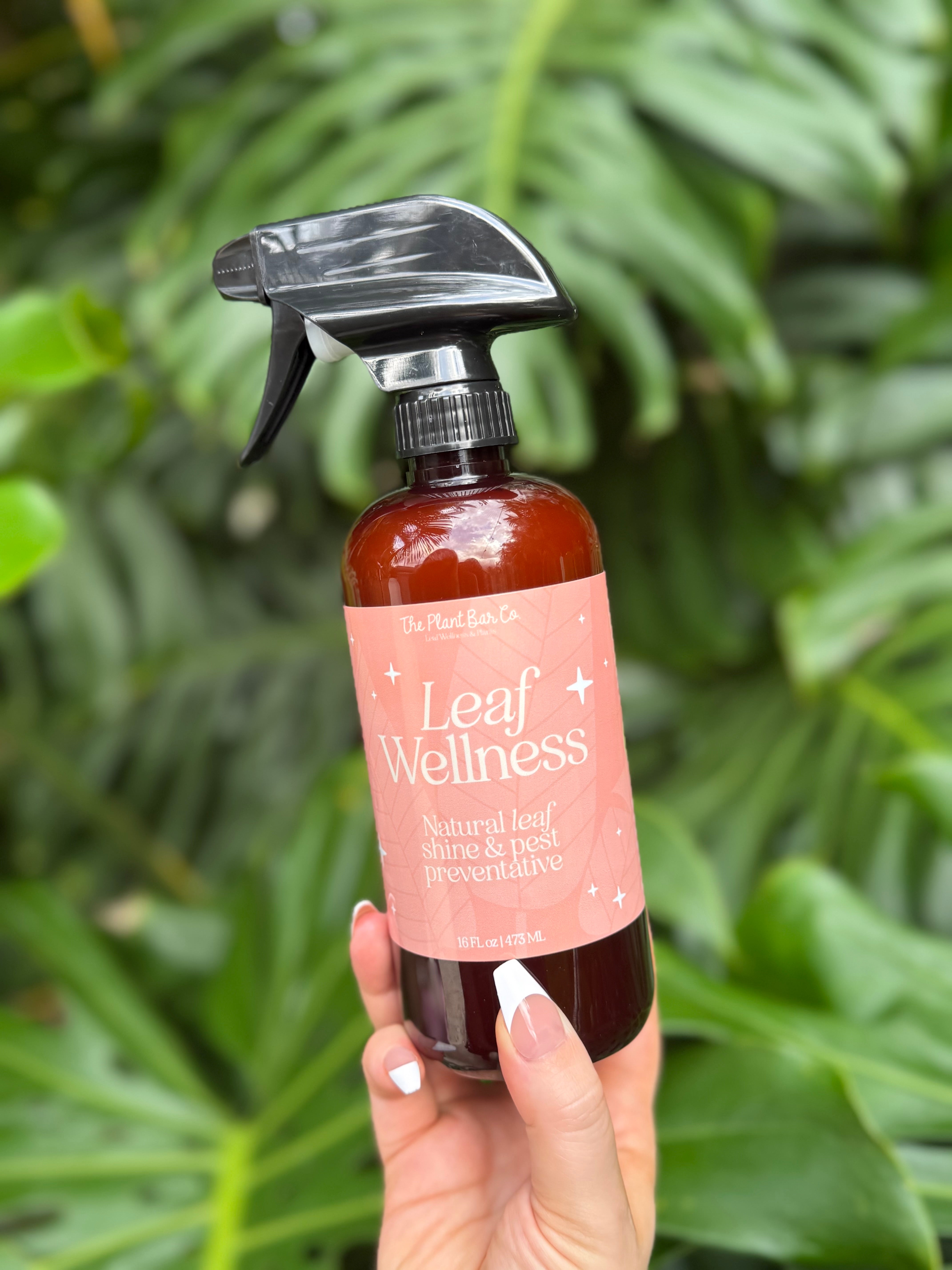 Leaf Wellness | Leaf Shine | Pest Deterrent – The Plant Bar Co.