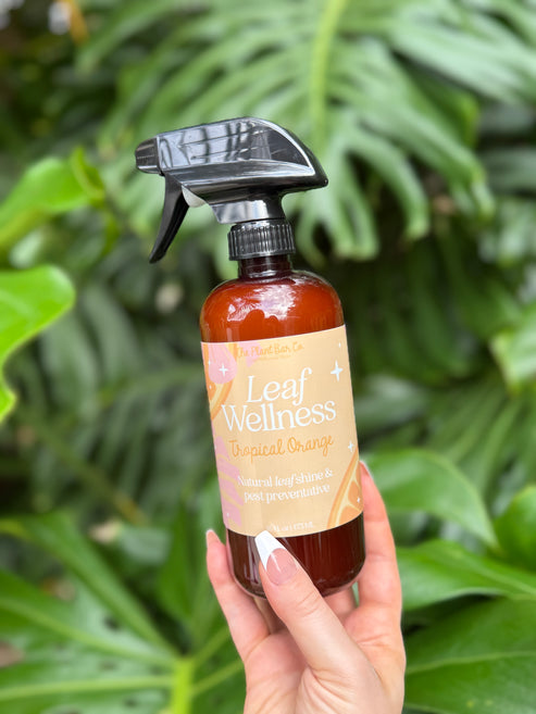 Leaf Wellness | Leaf Shine | Pest Deterrent – The Plant Bar Co.