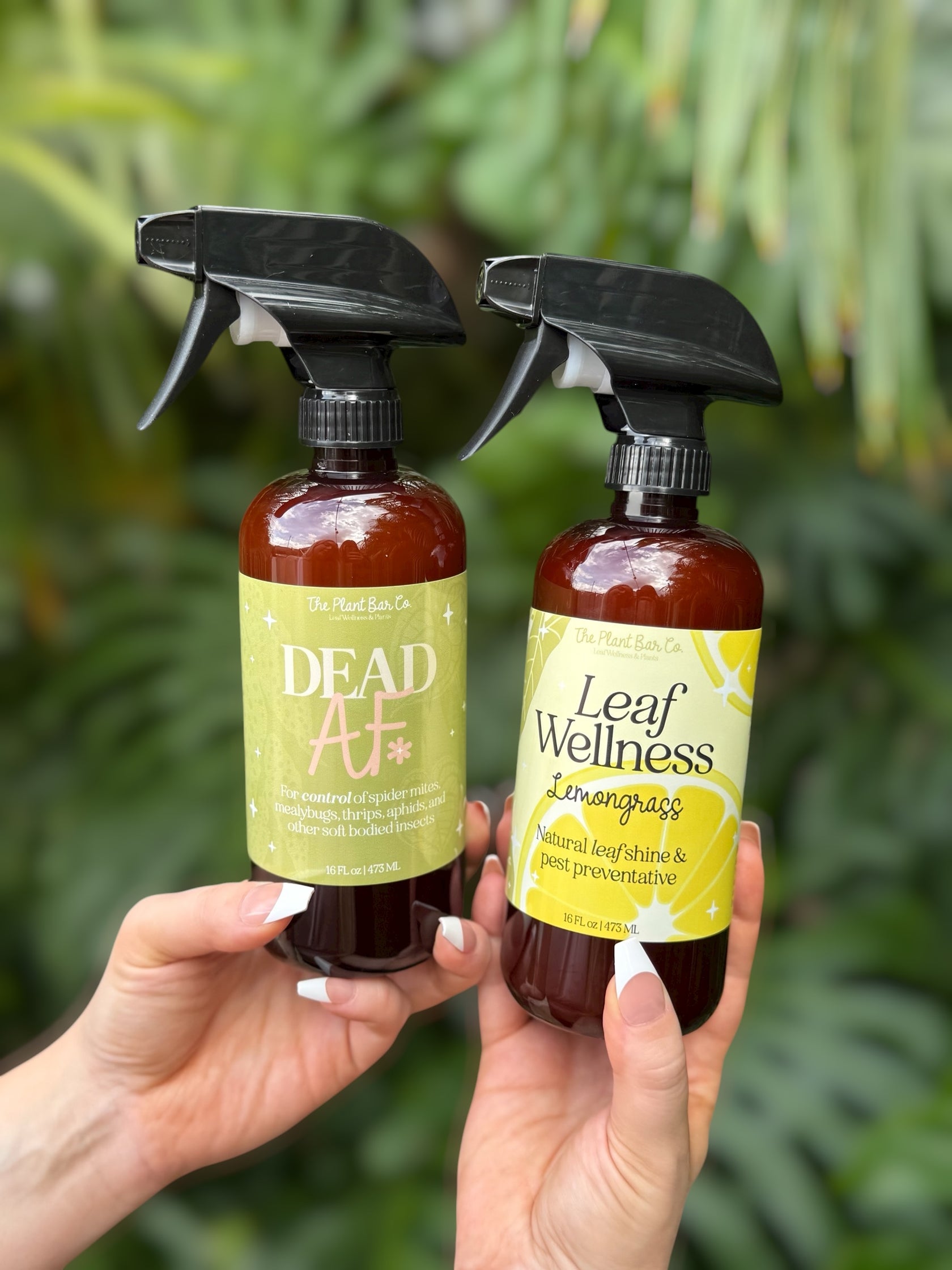 Leaf Wellness & Dead AF Duo – The Plant Bar Co.